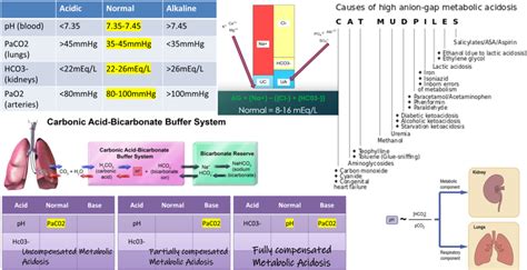 Anion Gap Normal Range