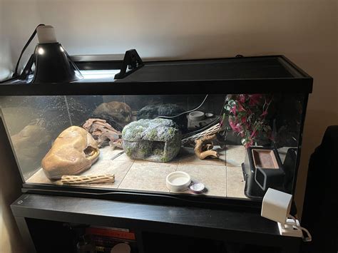 What Am I Doing Wrong Rembroidery