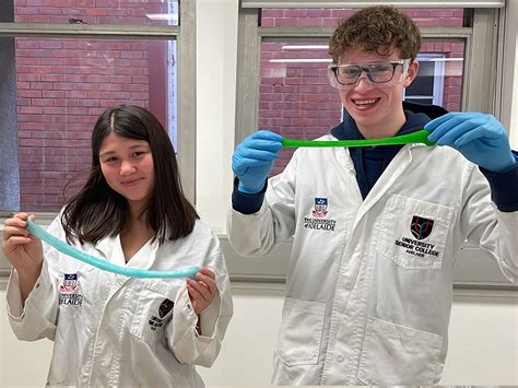 Year 11 Chemistry Investigated Cross Linking Polymers University Senior College University