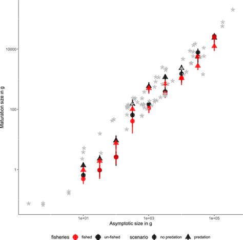 Modeled And Empirical Relationship Between Maturation Size And