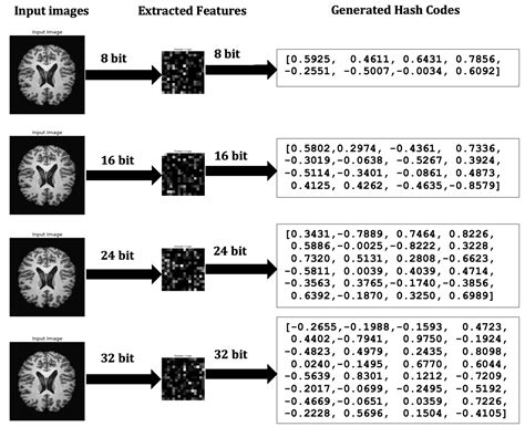 github alexsisay mri retrieval retrieval of brain mri image