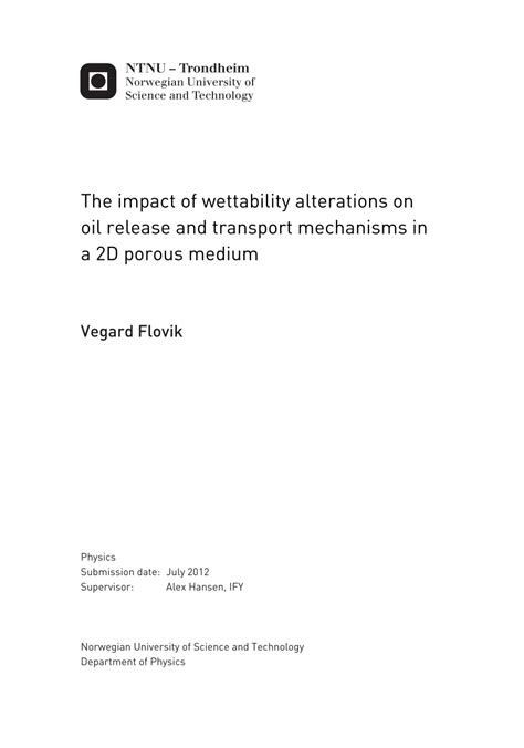 PDF MSc Thesis In Computational Physics