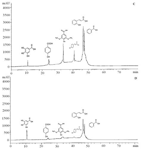 Chromatograms Of Detected Phenolic Compounds By The Different