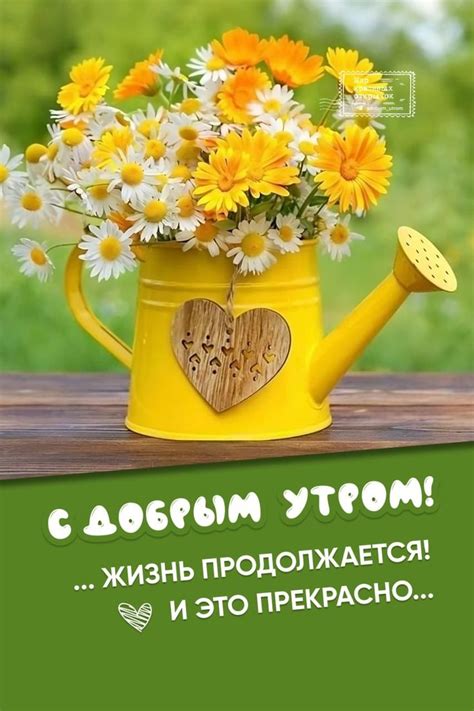 ДОБРОЕ УТРО лето красивые открытки картинки утренние сообщения цитаты доброеутро с добрым утром