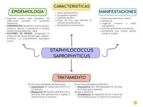 Staphylococcus Saprophyticus Snoopymed Udocz