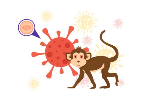 Monkey Pox Outbreak Illustration Pack 12 Free Download Healthcare