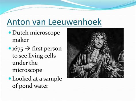 Ppt The Cell Theory Powerpoint Presentation Free Download Id 2313328