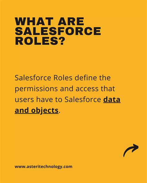 Control User Access With Salesforce Rolespdf