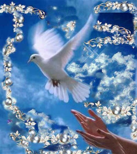 183 Best Images About Dove On Pinterest Holy Spirit Holy Ghost And Peace On Earth