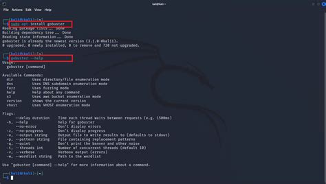 Перебор каталогов сайта на Kali Linux