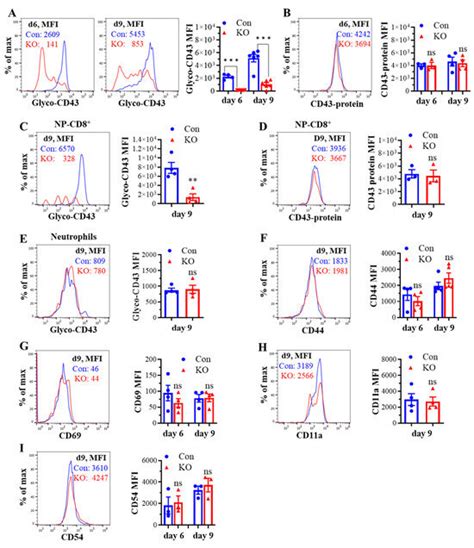 Runx3 Regulates Cd8 T Cell Local Expansion And Cd43 Glycosylation In