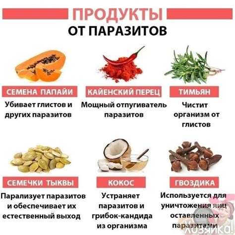 Пин на доске Здоровье Диетические советы Щелочная диета Здоровье