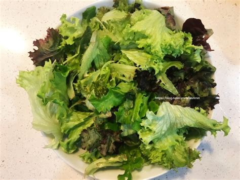 가정의 달 리코타 치즈 샐러드