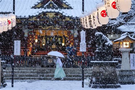 積雪達10公分 東京4年來最大降雪 逾200人跌倒送醫 國際大社會 國際 世界新聞網