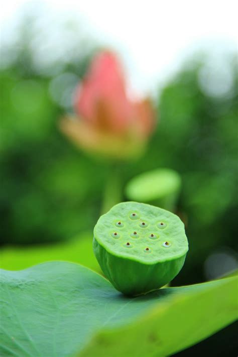 Stem Background Photos Download The Best Free Stem Background Stock