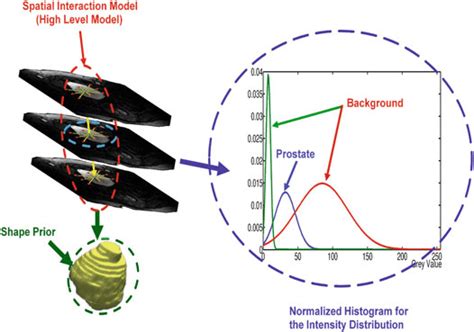 Joint MarkovGibbs Random Field Model Of DCE MRI Download