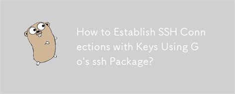如何使用 Go 的 Ssh 套件建立帶有金鑰的 Ssh 連線？ Golang Php中文網