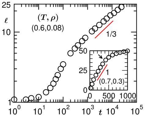 Plots Of Average Domain Size ℓ Versus Time On A Log Log Scale For Download Scientific