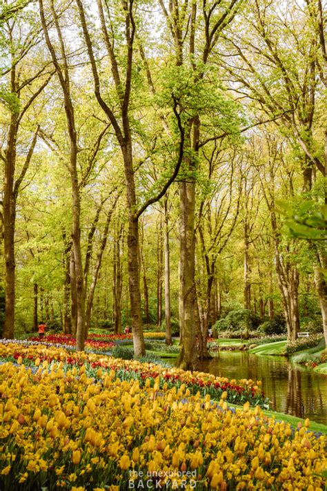 How To Visit Keukenhof Gardens In 2026 Best Time To Visit Tickets