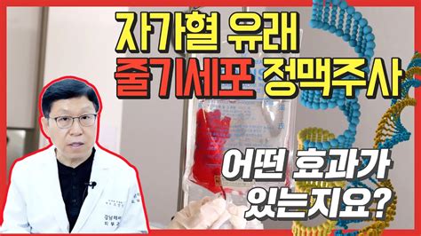 자가혈 줄기세포 정맥주사 줄기세포치료 어떤효과가 있을까요 Youtube
