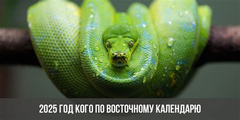 Гороскоп 2025 2025 Год Змеи