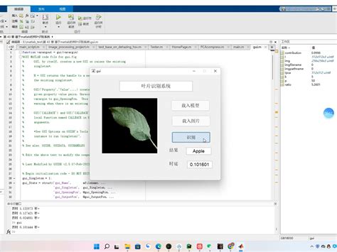 Python Matlab基于卷积神经网络的树叶品种分类识别 毕业设计 Haisiwuyw 默认收藏夹 哔哩哔哩视频