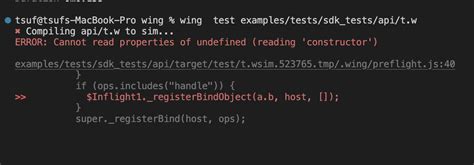 Cannot Reach Optional Struct Fields Inflight · Issue 2796 · Winglang