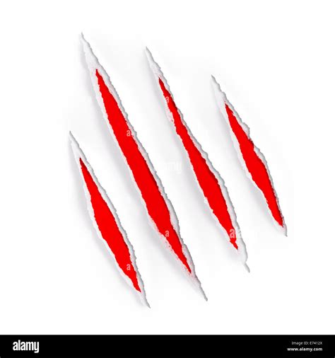 How To Draw Bear Claw Marks