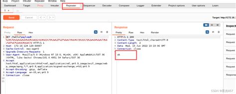 Log4j2复现log4j2 Dnslog Csdn博客