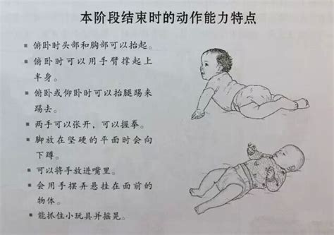 婴儿大动作发展顺序图婴儿大动作大山谷图库