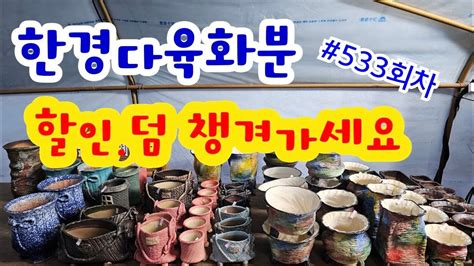 2024년 6월 1일533회차 저녁 영상 한경다육화분 수제공방분 공방분 다육화분 화분 다육이 다육식물 한경화분 야생화 아프리카식물 Youtube
