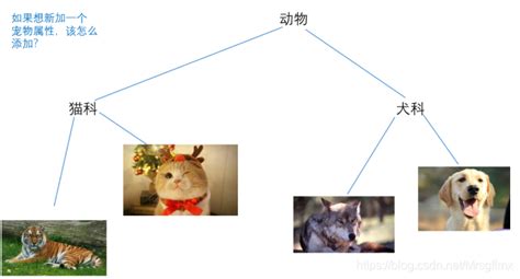 Java中“接口”与“类”的关系接口和类 Csdn博客