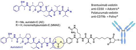 What Is Monomethyl Auristatin E Mmae Creative Diagnostics