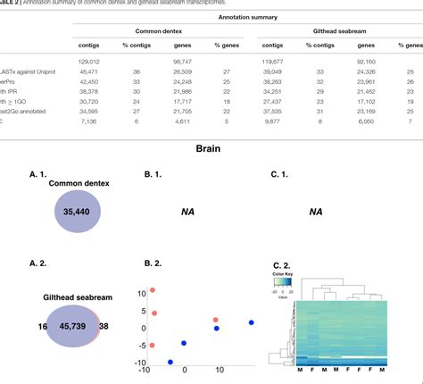 Table 2 From The Gene Toolkit Implicated In Functional Sex In Sparidae
