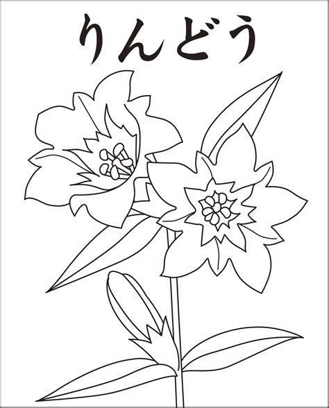 高齢者レク素材 りんどう 花 ｜定番塗り絵｜介護レク広場～レク素材やレクネタ（企画書）の無料ダウンロード