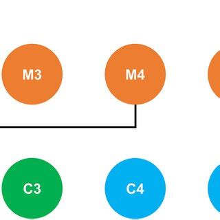 The Behavior Sequence Transition BST Diagram Of T Download Scientific Diagram