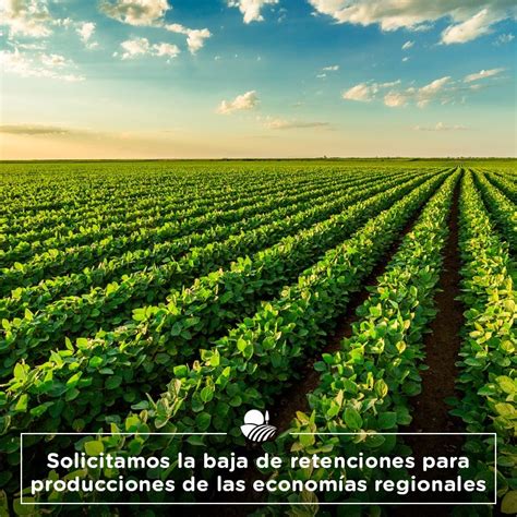Solicitamos La Baja De Retenciones Para Producciones De Las Economías