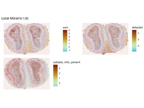 Spatial Analysis Of 10x Example Visium Dataset • Voyager
