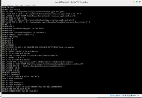 Catalina Successful Installation But Fails To Boot · Issue 375 · Myspaghettimacos