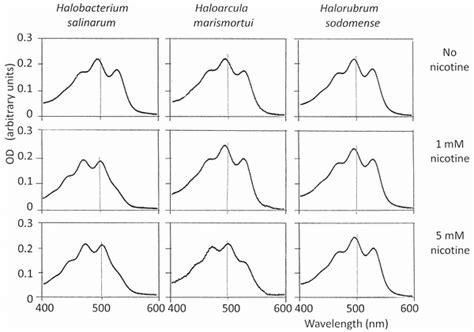 Absorption Spectra Of Methanolacetone Extracts Of Cells Of Hbt Download Scientific Diagram
