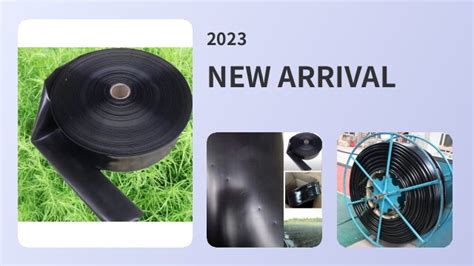 Rosy Wang Posted On Linkedin