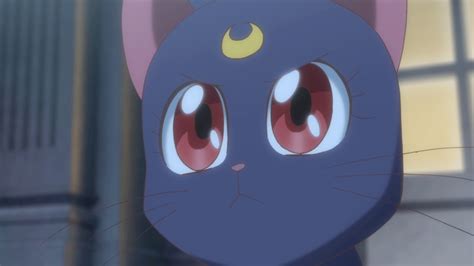 Sailor Moon Crystal Act 4 Lunas Legitimate Distrust Of Tuxedo Mask
