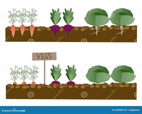 Woman Planting Gardens Flowers Agriculture Gardener Hobby And Garden
