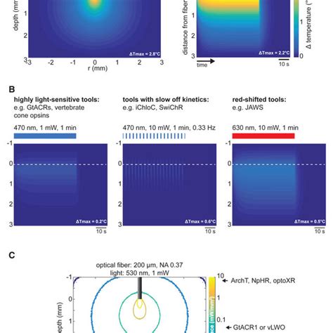 Monte Carlo Simulation Of Light Induced Heat Distribution And Light