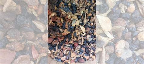 Компотная смесь сухофрукты оптом купить в Рязани с доставкой Товары для дома и дачи Авито