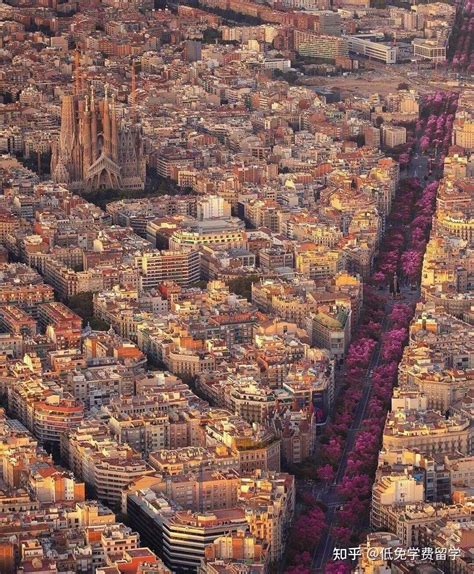 巴塞罗那留学指南——巴自治篇 知乎