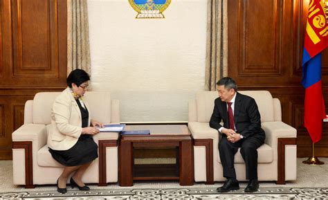 Эрүүл мэндийн сайд тогтоолын төсөл өргөн барьжээ