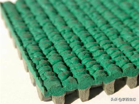 預製型塑膠跑道看一次你就懂 每日頭條