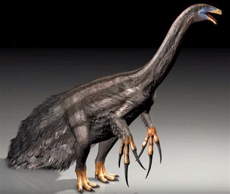 Therizinosaurus Fact Sheet C S W D