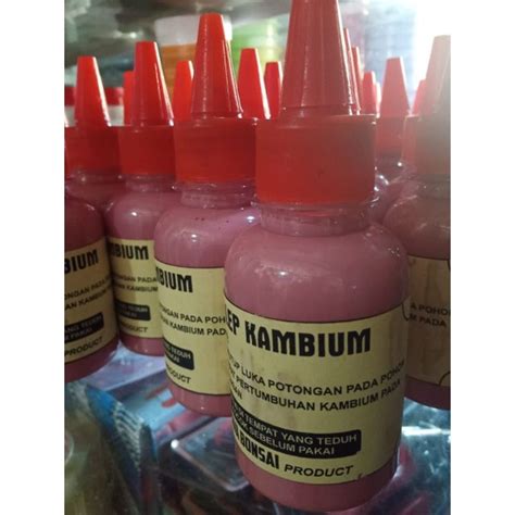 Jual Salep Bonsai Lokal Shopee Indonesia